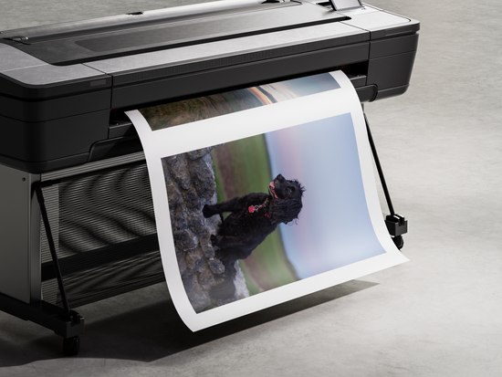 Active Photo Prints – Active Print Shop